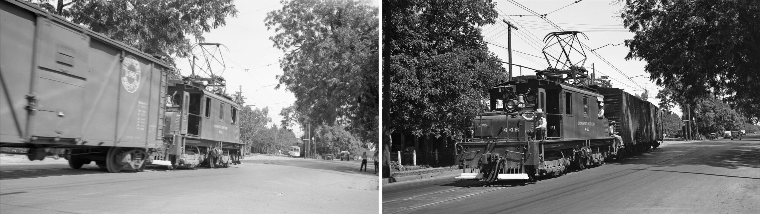 And to Think That I Saw it in Mulberry Yard - East Bay Hills Project